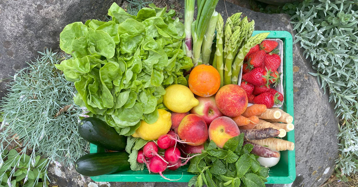 Rotkohl-Salat - Öffentlich - eigene Rezepte - Rezepte - amperhof